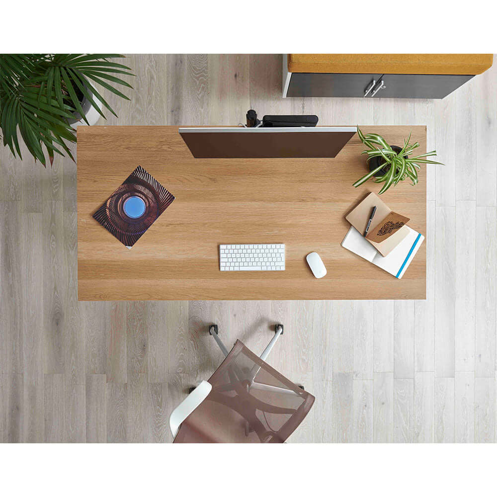 Lima Monitor Arm - Single Screen Solution - Ergonomics Now