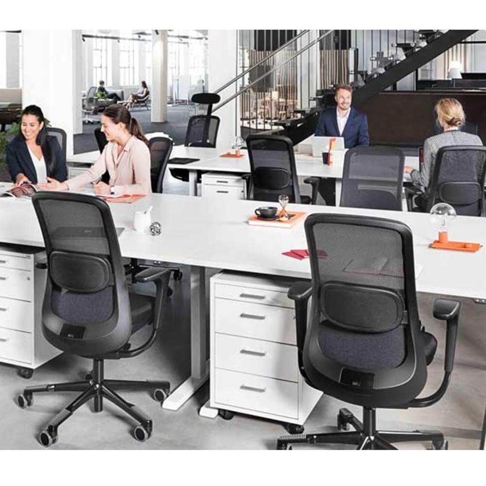 HAG SoFi Mesh Task Chair for Ergonomic Support and Comfort - Ergonomics Now